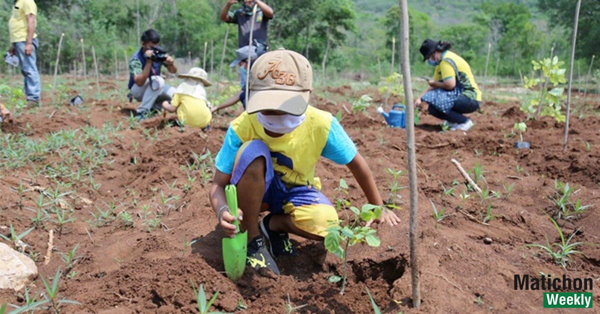 สิ่งแวดล้อม - Page 22 of 23 - มติชนสุดสัปดาห์