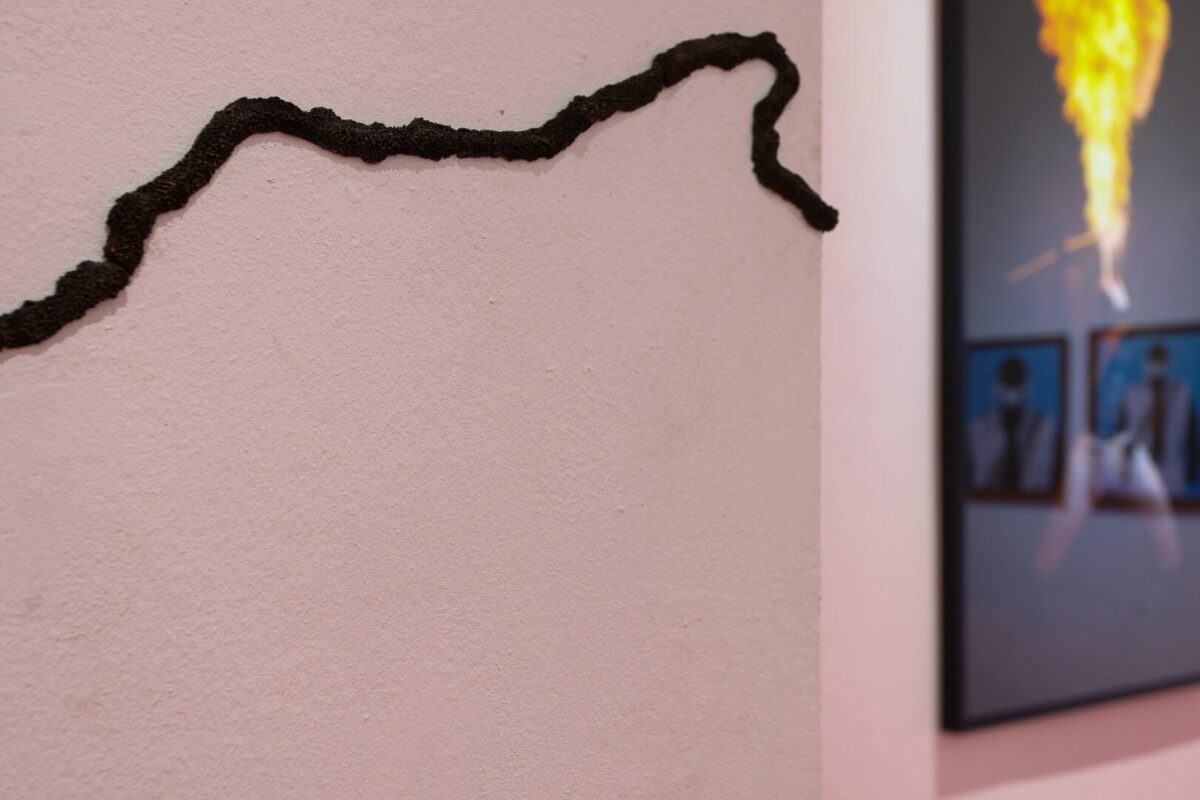 Worship the Termite ศิลปะภาพถ่ายแบบปลวกๆ ที่ยกย่องการผุพัง ในฐานะพลัง ...