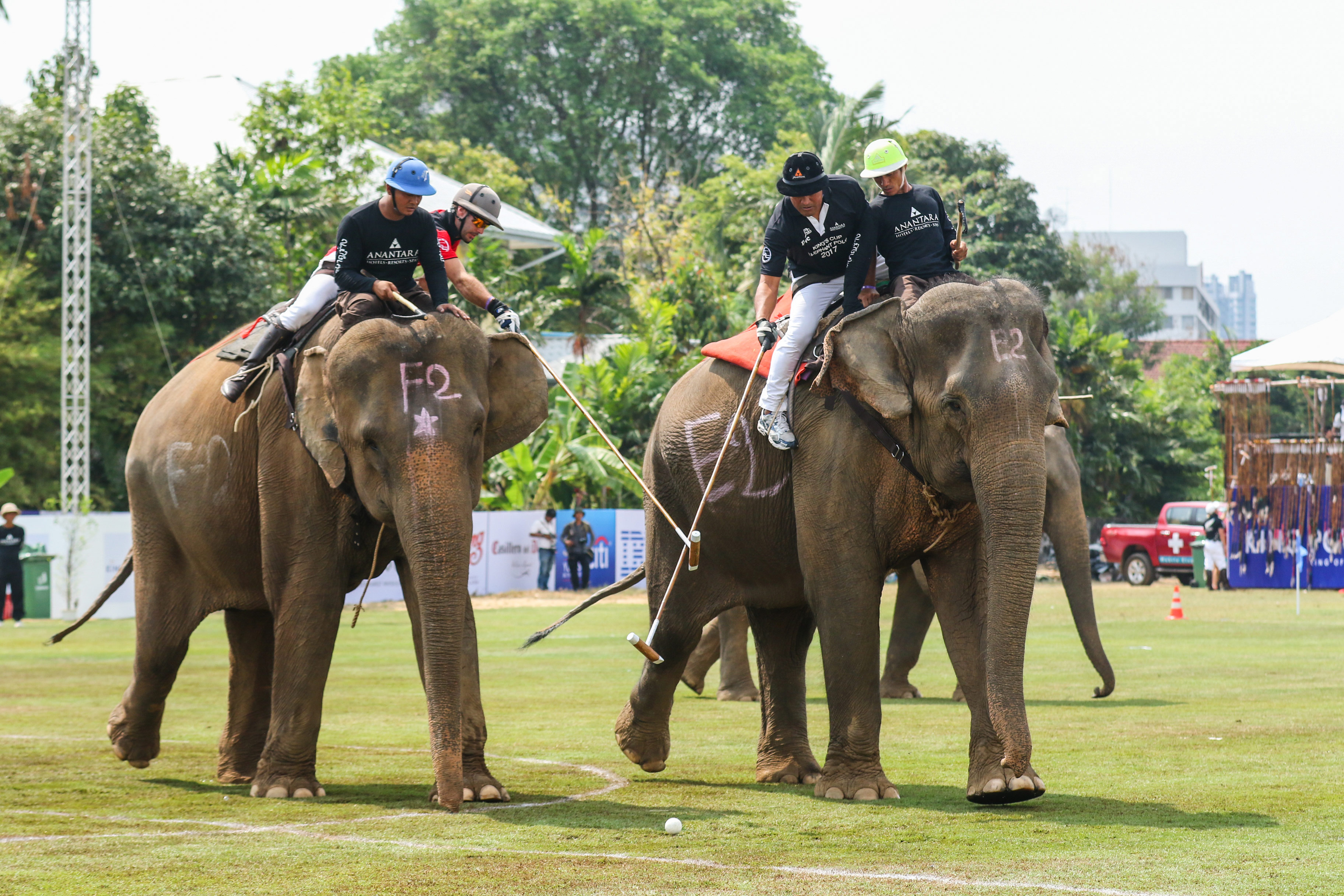 โปโลช้างเปิดฉากวันแรกคึกคัก-'คิงเพาเวอร์'ถล่มเอาชนะ'เบนิฮานา'13-6