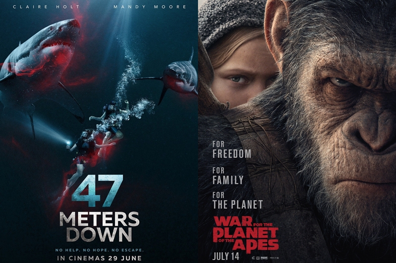 เขียนถึงหนังสองรส: 47 Meters Down และ War for the Planet of the Apes