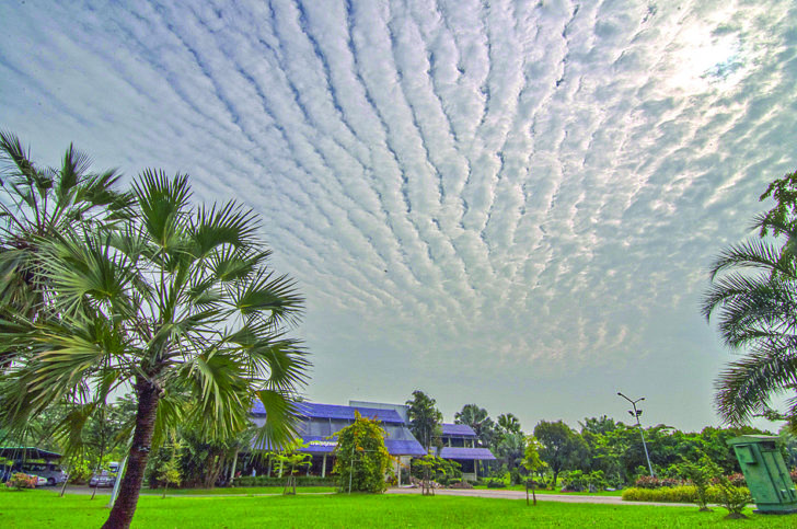 Cloud Lovers : Radiatus...เมฆ ‘แผ่รังสี’ : โดย บัญชา ธนบุญสมบัติ