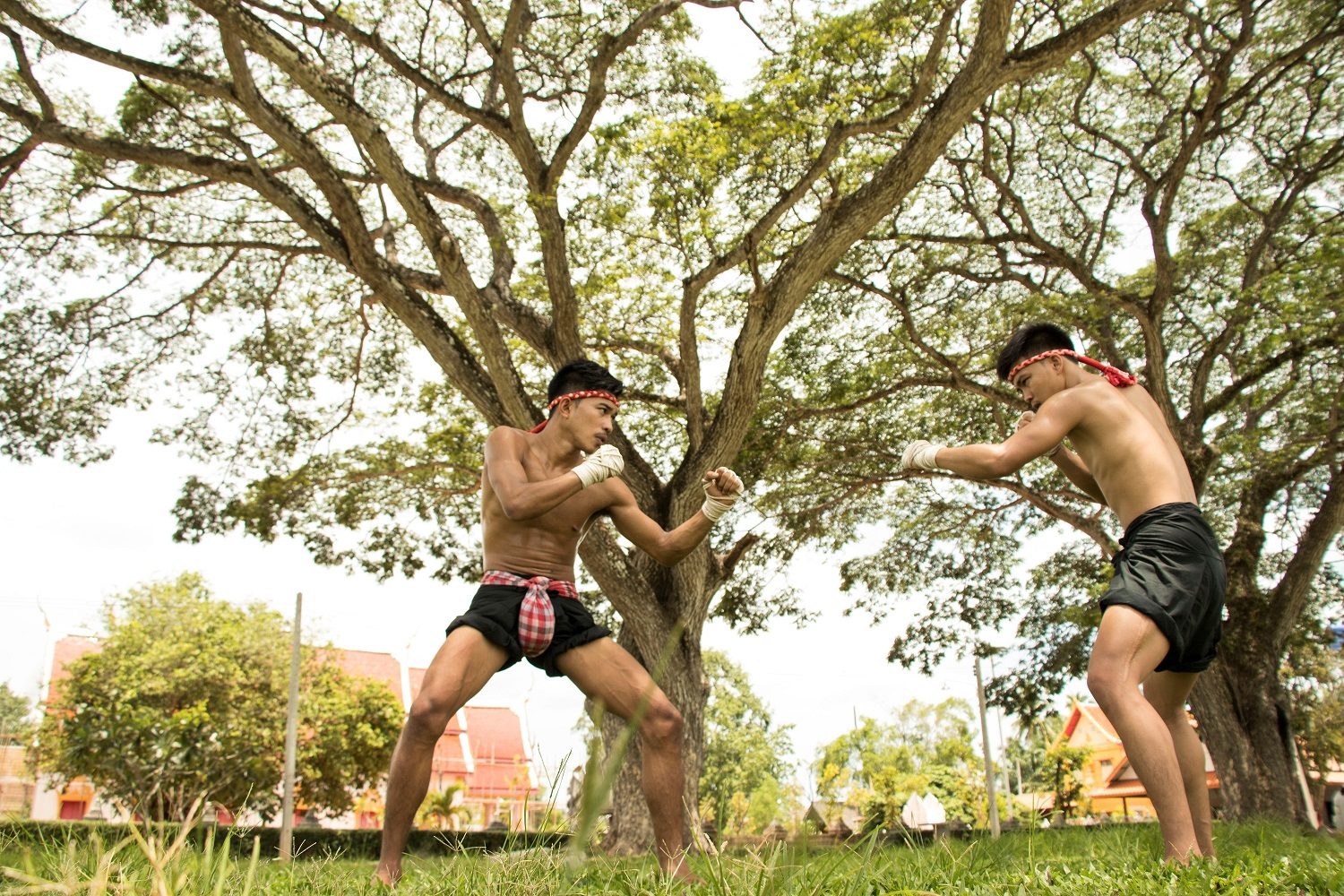 ศูนย์การค้าเซ็นทรัลพลาซา สุราษฎร์ธานี ขอเชิญร่วมงาน THE LEGEND OF ...