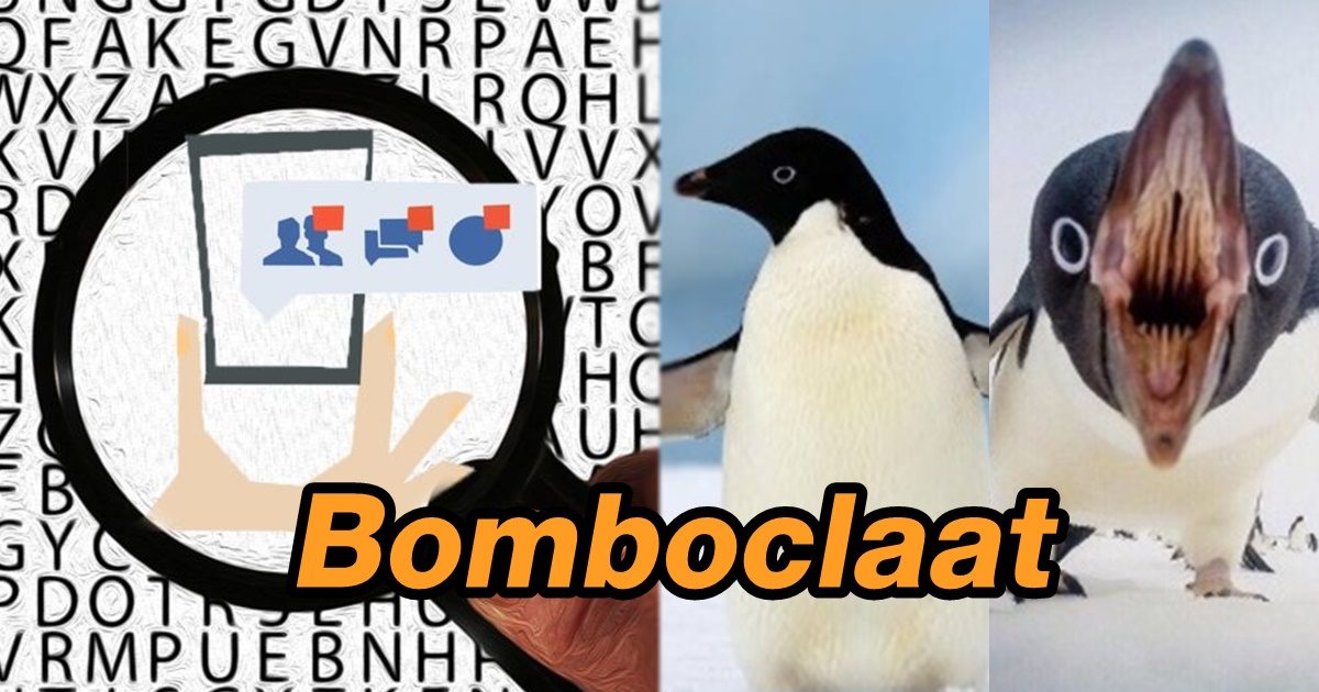 ฮิตต้องแชร์...'Bomboclaat' จงบรรยายภาพนี้