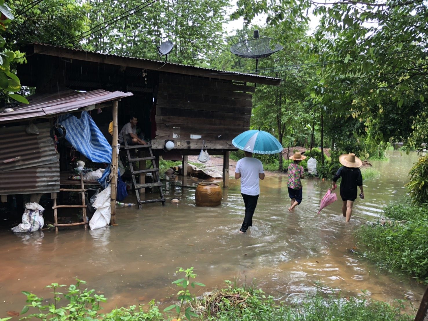 'ฝนตกหนัก' น้ำป่าเขาใหญ่มรดกโลกหลากท่วม 2 หมู่บ้าน อบต.บุฝ้าย เสียหายยับ