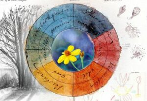 จิตวิวัฒน์ : Goethean science วิทยาศาสตร์แบบเกอเธ่ โดย สิรินันท์ นิลวรางกูร