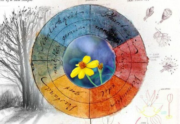 จิตวิวัฒน์ : Goethean science วิทยาศาสตร์แบบเกอเธ่ โดย สิรินันท์ นิลวรางกูร