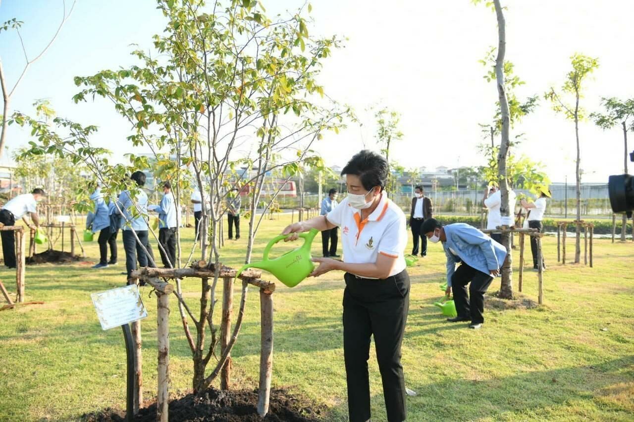 Inviting all sectors to drive the Green Bangkok 2030 project to develop ...