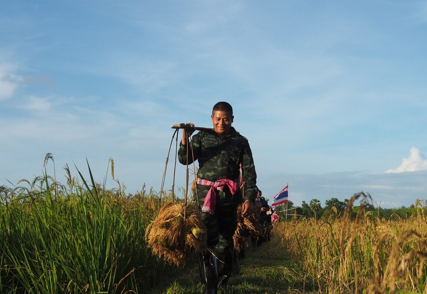 ผบ.ฉก.นราธิวาส จัดกิจกรรมเกี่ยวข้าวสืบสานวัฒนธรรมท้องถิ่น หนุนพัฒนา ...