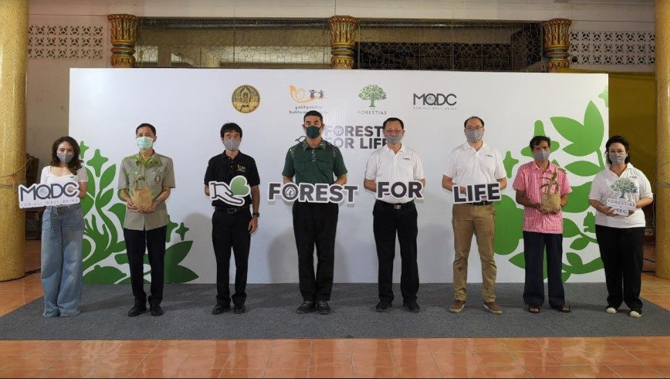 “โครงการ Forest for Life สร้างป่าสร้างชีวิต” เพื่อช่วยผู้ที่ได้รับผล ...