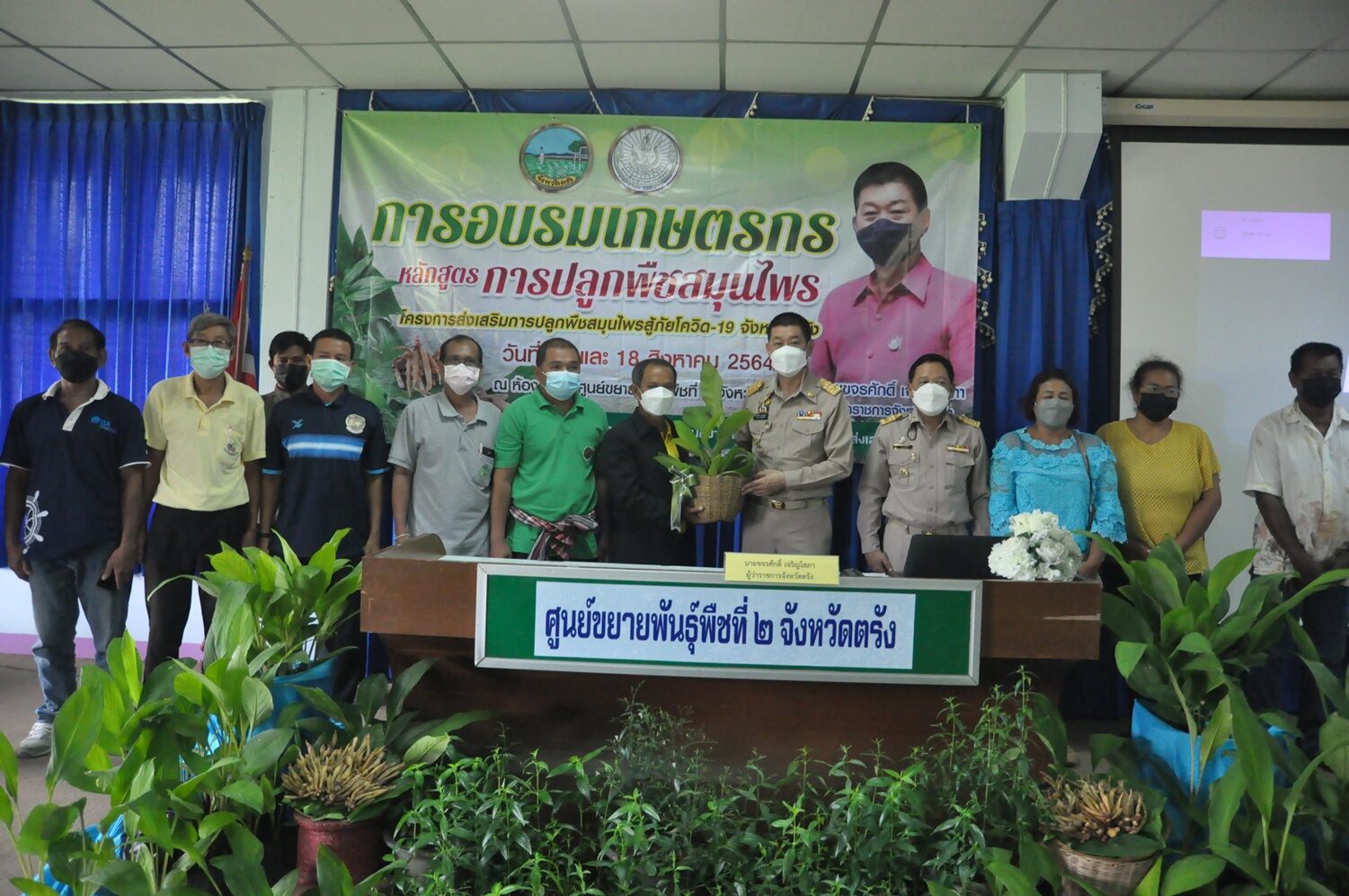 ทุ่มงบครึ่งล้าน ตรังจับมือศูนย์ขยายพันธุ์พืช นำร่องปลูกพืชสมุนไพร สู้