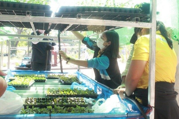 NT CSR ยกระดับคุณภาพสังคม หนุนศักยภาพชุมชน