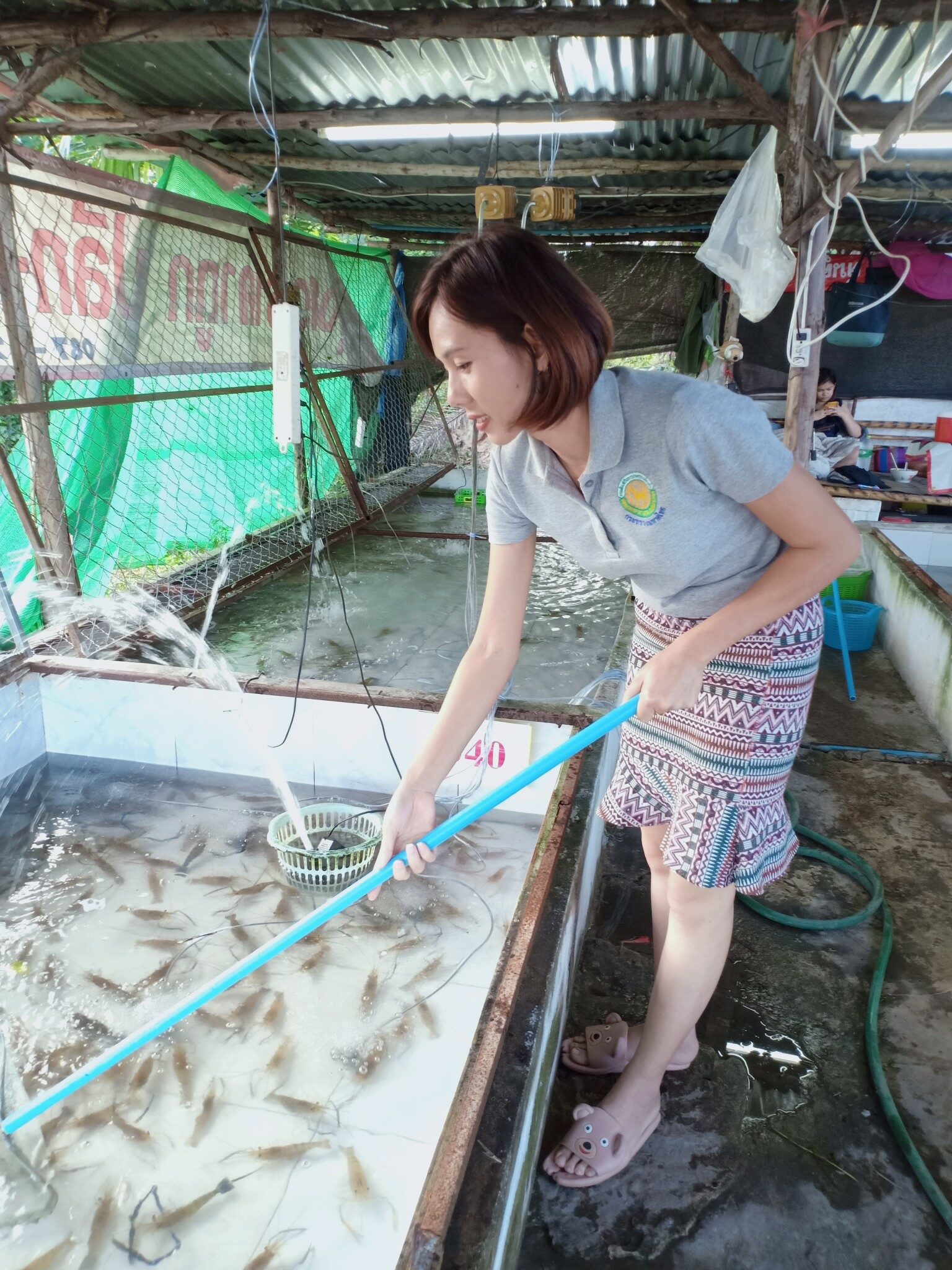 กาฬสินธุ์ ตลาดกุ้งก้ามกรามซบเซา กังวลเขื่อนลำปาวปิดส่งน้ำ หวั่นกุ้งน็อค ...