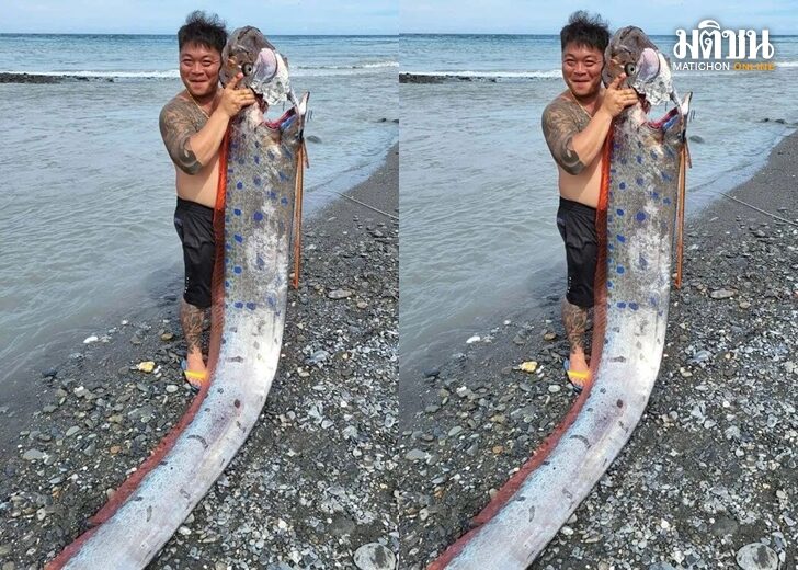 Hilarious! A Taiwanese fisherman catches a rare fish of a massive 6 ...