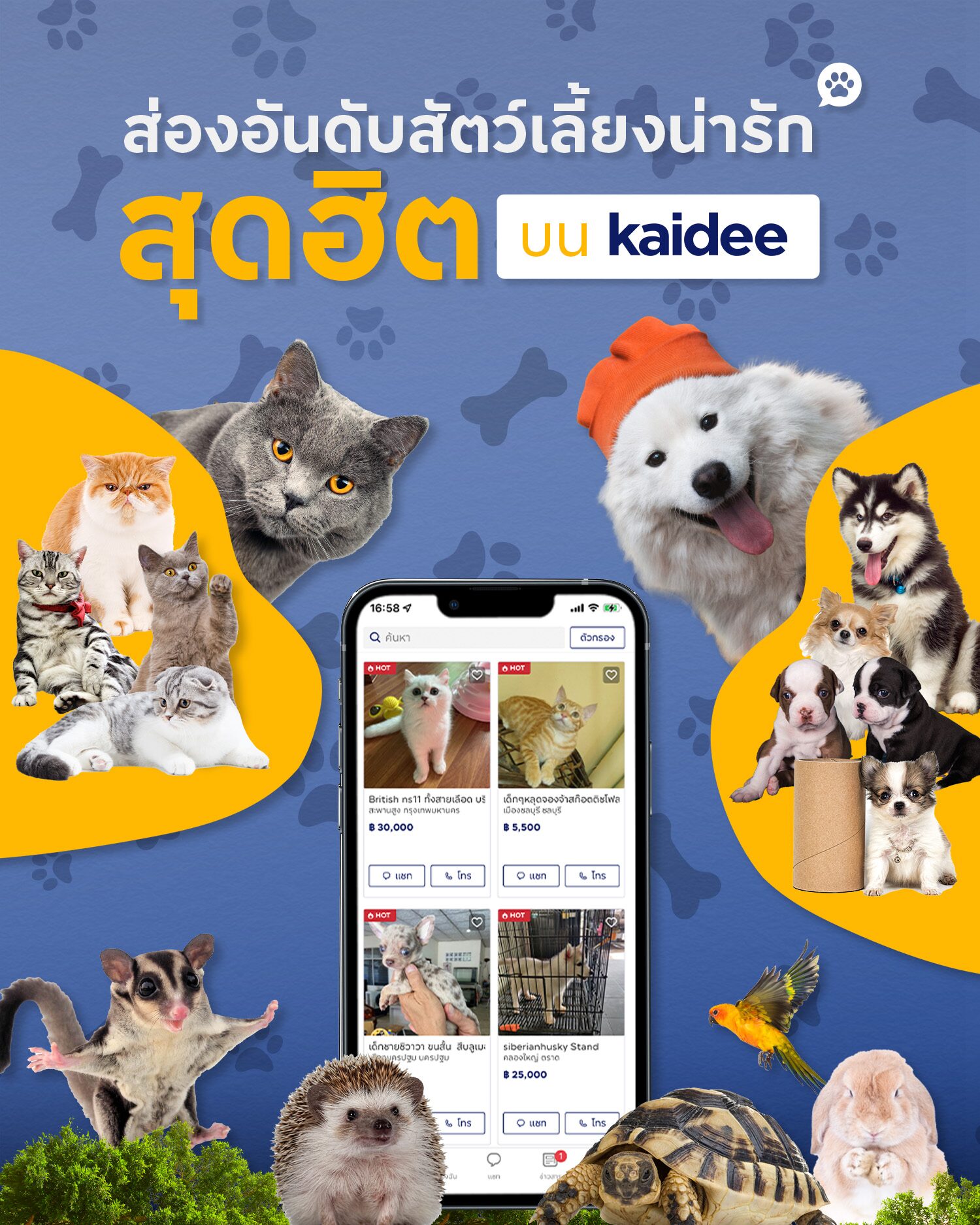 Kaidee เผยนักช้อปไทยซื้อสัตว์เลี้ยงผ่านตลาดออนไลน์มากขึ้น