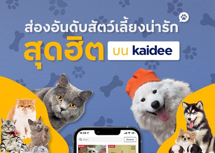 Kaidee เผยนักช้อปไทยซื้อสัตว์เลี้ยงผ่านตลาดออนไลน์มากขึ้น