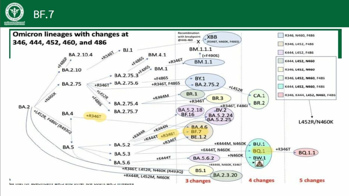 สธ.อัพเดตสายพันธุ์โควิด ไวรัสชื่อใหม่เพียบ! ไทยเจอแล้ว XBB / BF.7 / BN.1