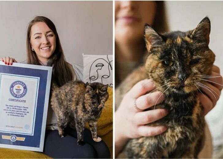 แมวแก่ที่สุดในโลก หากเป็นคนก็อายุเกือบ 120 ปี