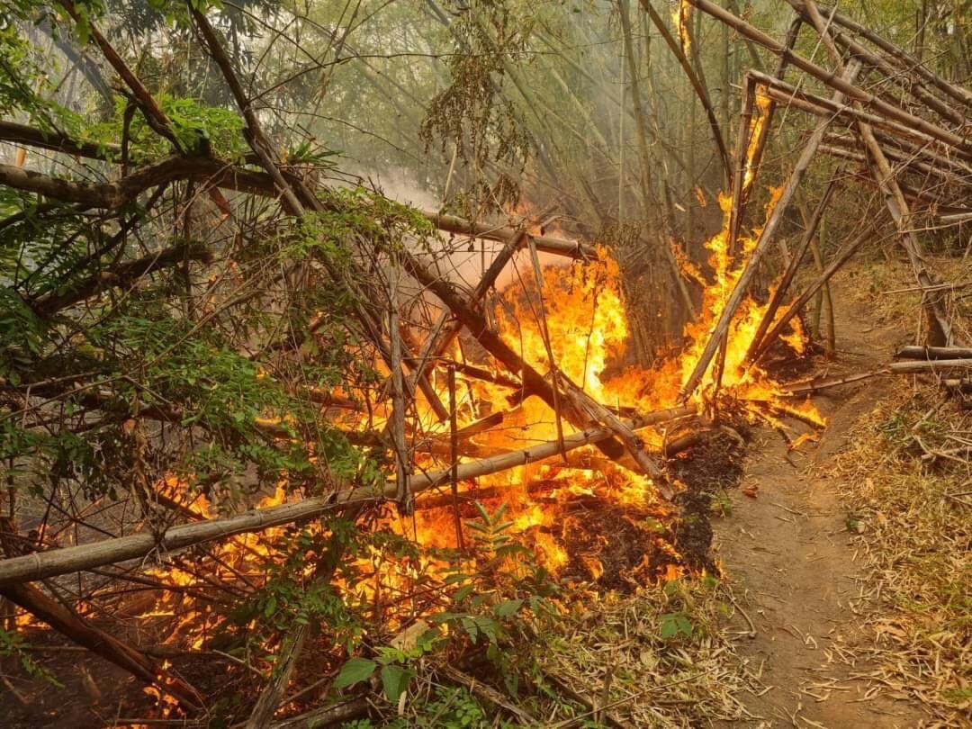 Toxic Dust Reaches 542 mcg/m3 as Forest Fires Persist in Chiang Rai's ...