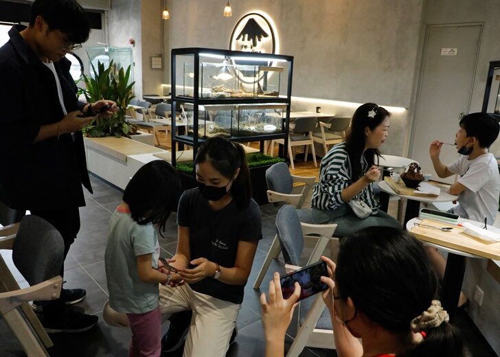 แกะรอยต่างแดน : คาเฟ่สัตว์เลื้อยคลาน แห่งแรกในมาเลเซีย