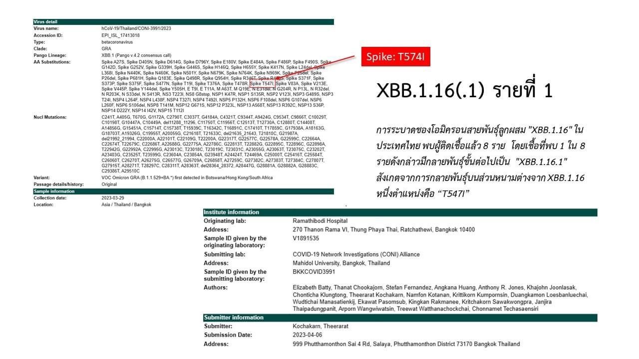 ศูนย์จีโนมฯ คาดอีก 2-3 เดือน โอมิครอนลูกผสม XBB.1.16 ครองพื้นที่ ชี้โต-แพร่เร็วเหนือเชื้อตัวอื่น