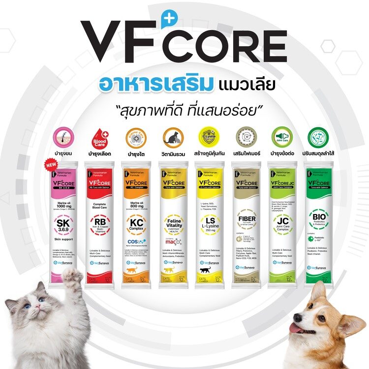 VFcore ทะยานสู่ No.1 อาหารเสริมสำหรับแมว