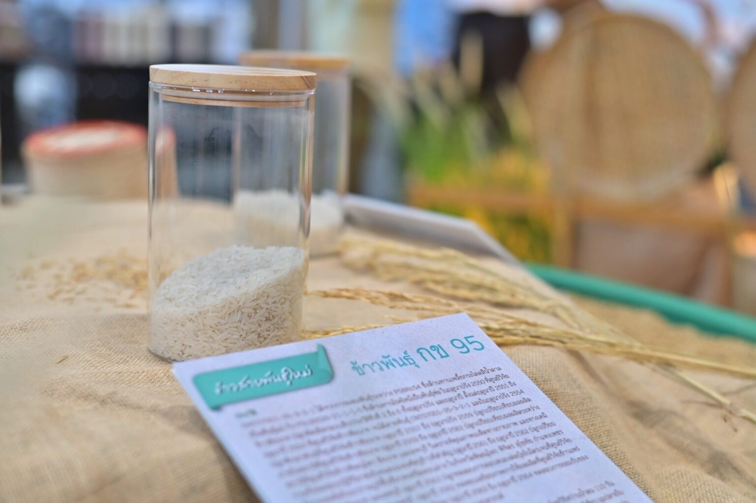 ‘รองอธิบดีกรมการข้าว’ ร่วมงาน Upskill Thailand 2023 หนุนสร้างรายได้-ต่อยอดข้าวไทย