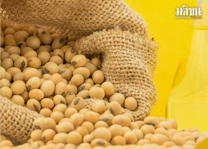 'ถั่วเหลืองสหรัฐ' ต้นแบบวัตถุดิบยั่งยืน ... ส่วน 'ข้าวโพดไทย' มาตรฐาน ...