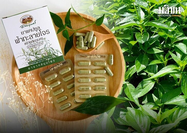 สปสช.โชว์ผลงานปี'66 ปรับแผนจ่ายยาสมุนไพร 9 รายการ กระตุ้นการใช้ในปท.