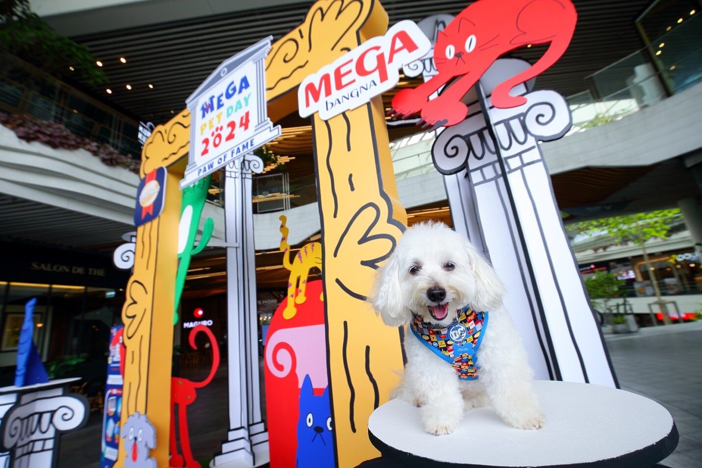 เมกาบางนา ชวนมาเสพงานศิลป์ กับงาน MEGA PET DAY 2024 : PAW OF FAME