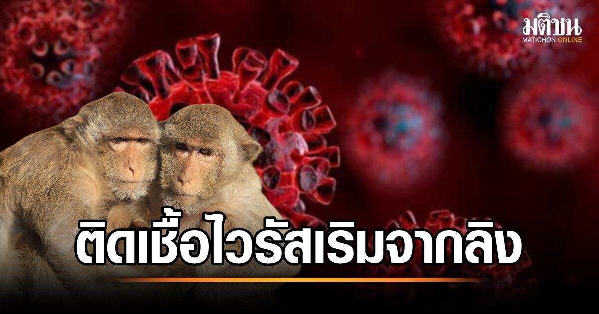 Beware of Monkey B Virus: Doctors Warn of Potential Risks and ...