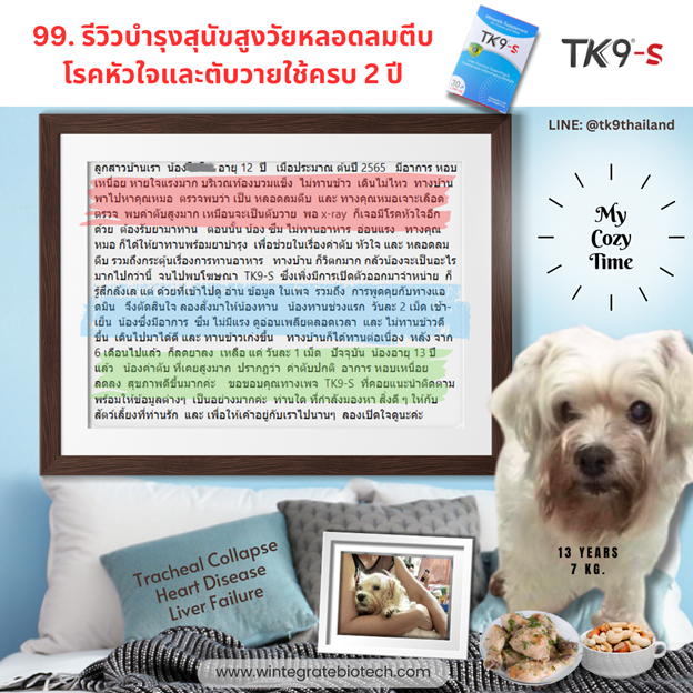 TK9-S งานวิจัยสัตวแพทย์สู่ผลิตภัณฑ์