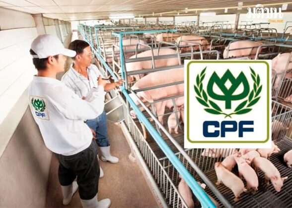CPF โกยรายได้Q1 พุ่ง 1.4 แสนล้าน ‘ธุรกิจหมูในจีน-เซเว่น’ หนุนพลิกมีกำไร โต 142%