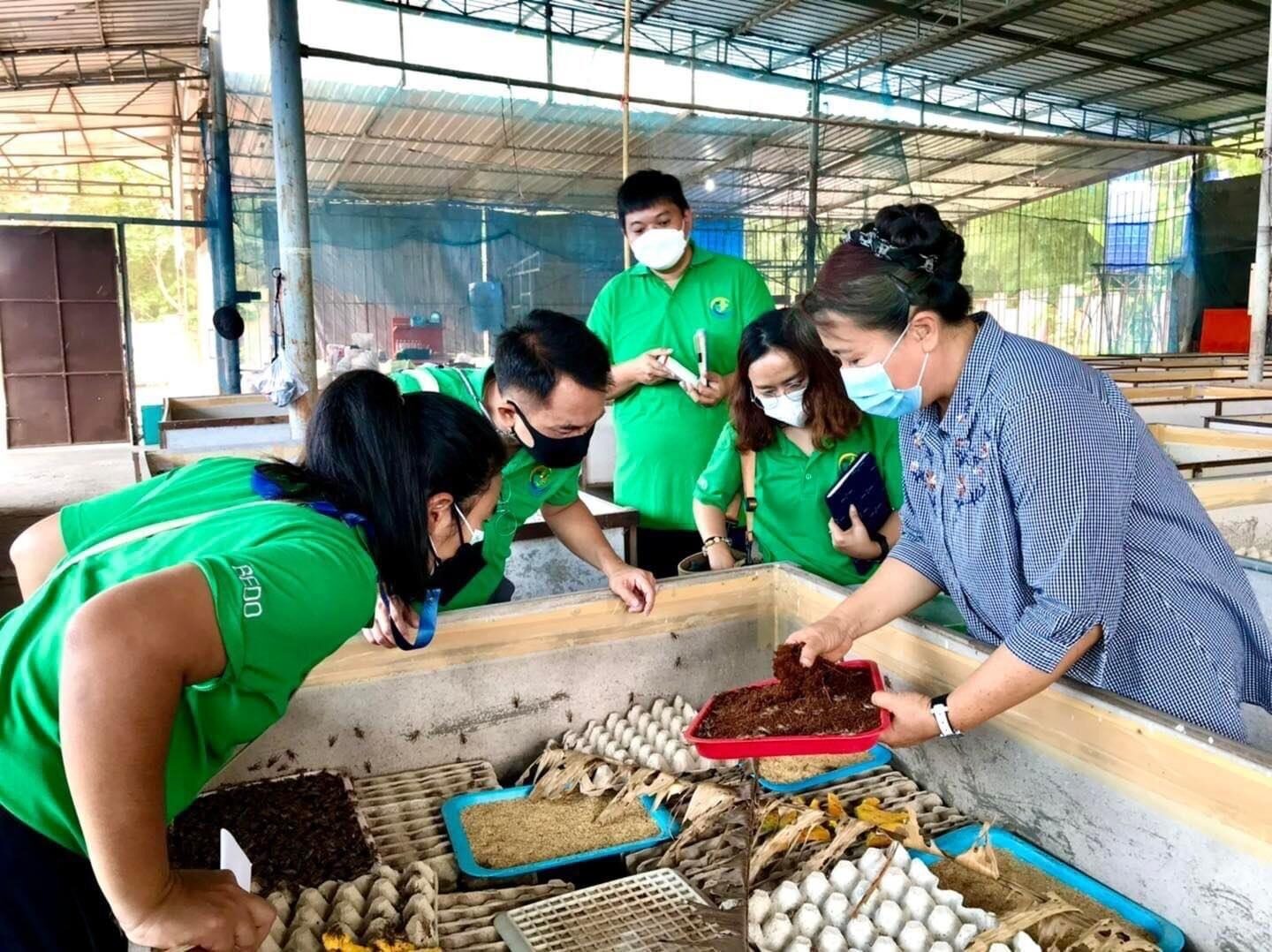 สวก. และ BEDO ถ่ายทอดวิธีเลี้ยง “แมลงโปรตีน BSF”