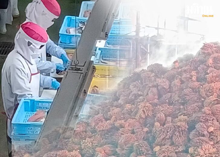 สภาอุตฯ-หอการค้า14 จว.ใต้ ฮึ่ม! ค้านขึ้นค่าแรง 400 จ่อเคลื่อนไหวปกป้อง ...