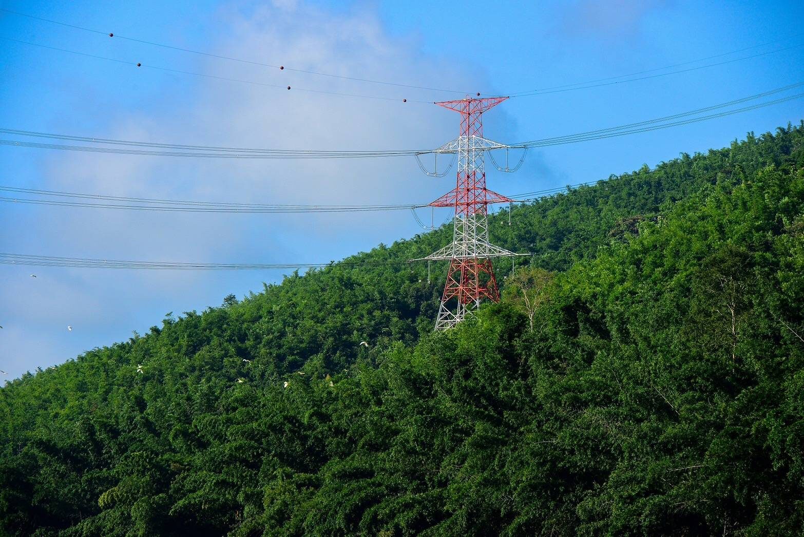 CKPower แข็งแกร่ง กวาดรายได้กว่า 8 พันล้านใน 9 เดือนแรก รับอานิสงส์บวกจากปัจจัยฤดูกาล