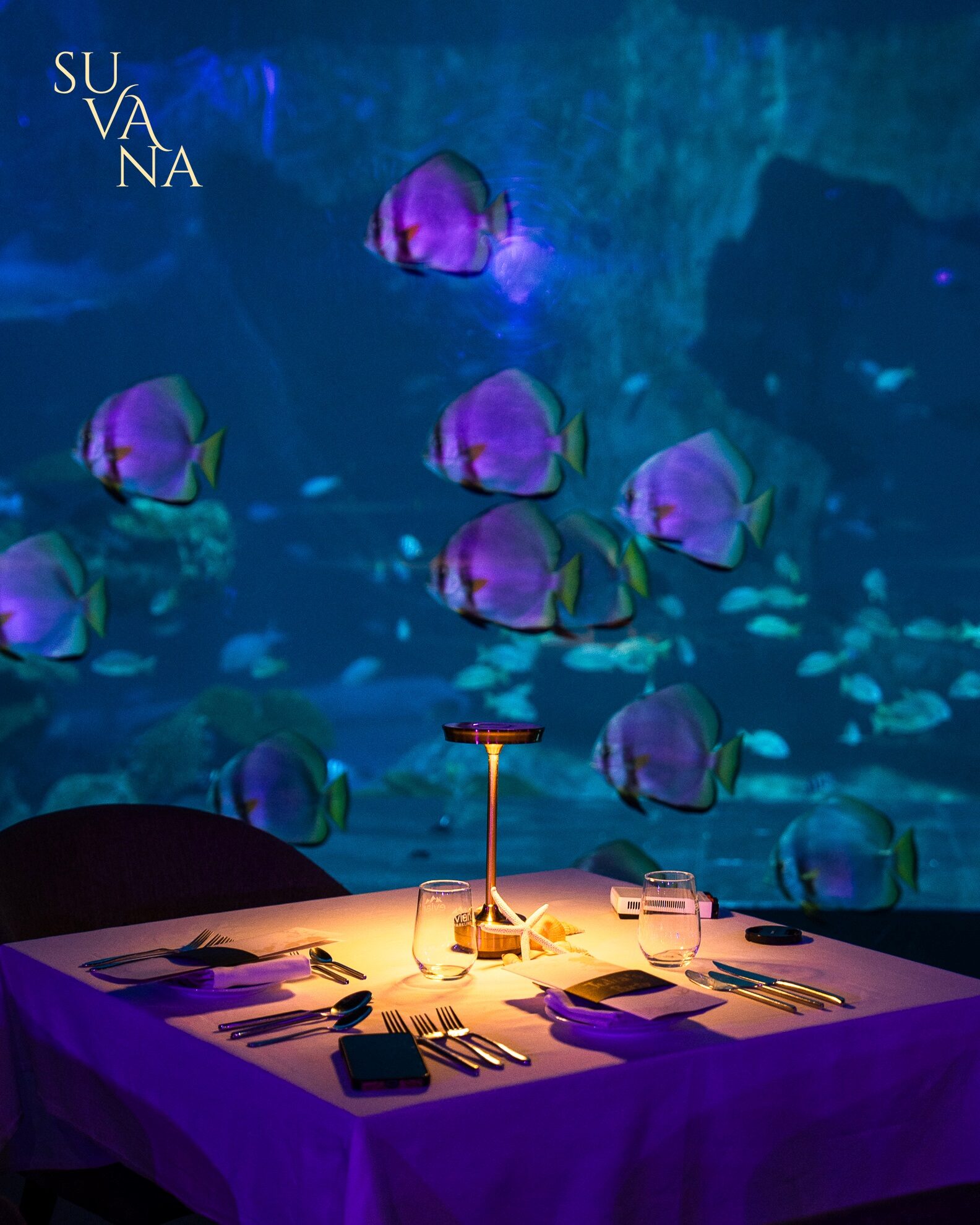 Su Va Na Phuket คว้ารางวัลระดับโลก! ร้านอาหารใต้น้ำที่ดีสุด
