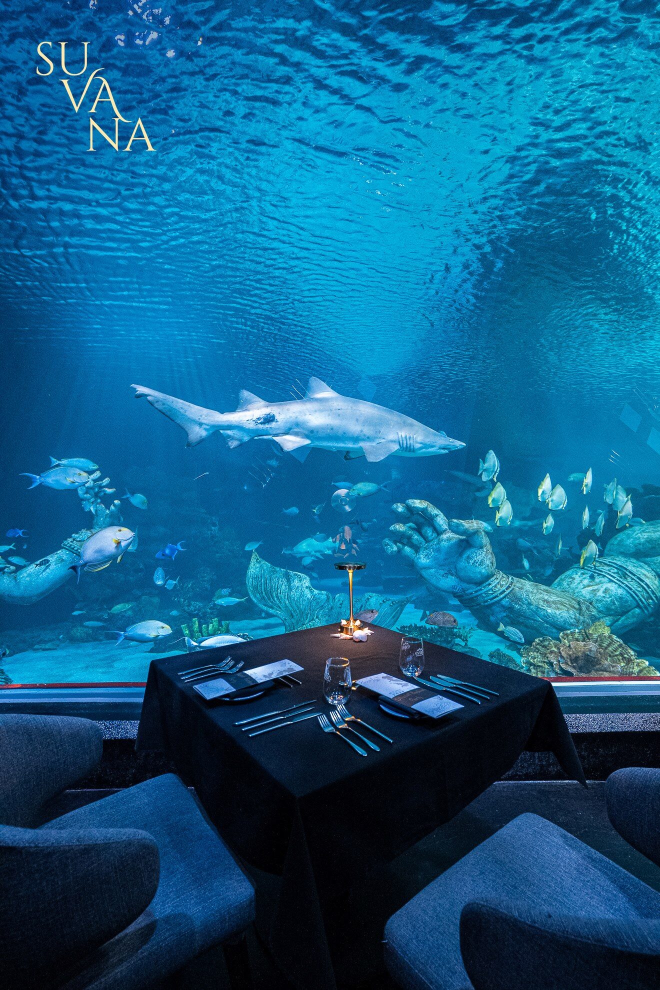 Su Va Na Phuket คว้ารางวัลระดับโลก! ร้านอาหารใต้น้ำที่ดีสุด