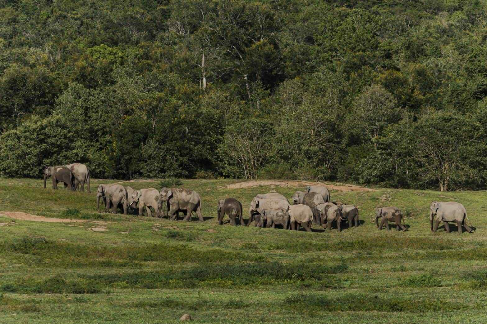 BEDO และ UNDP โชว์ความสำเร็จท่องเที่ยวชีวภาพ ชูชุมชนต้นแบบ “จังหวัดประจวบคีรีขันธ์”