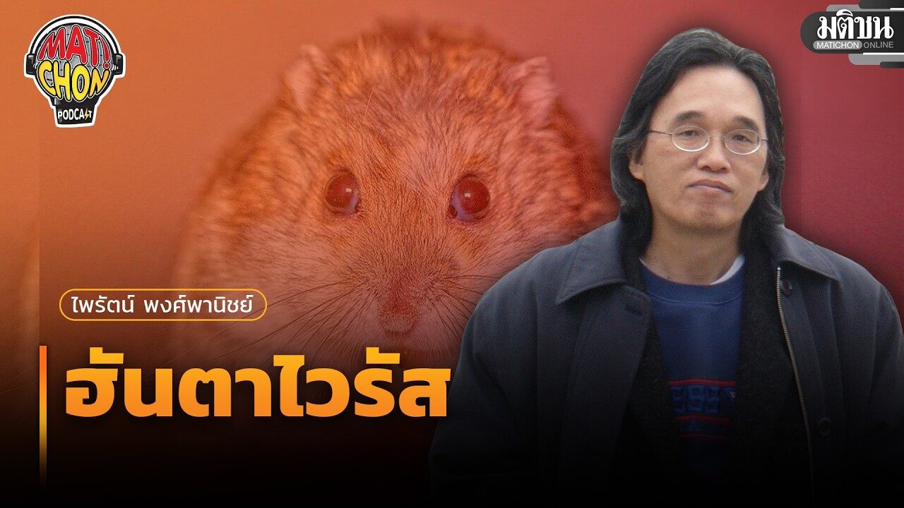 ไพรัตน์ พงศ์พานิชย์ : ฮันตาไวรัส : Matichon Podcast